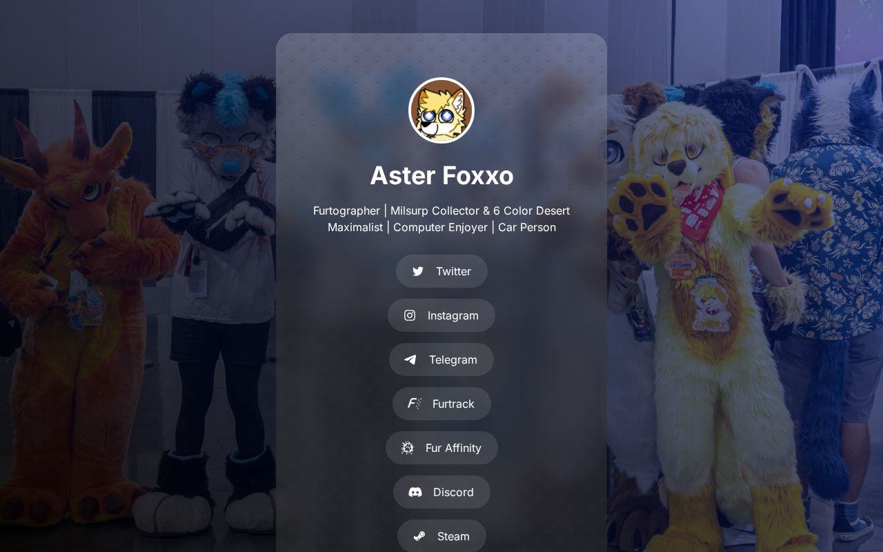 Aster Foxxo